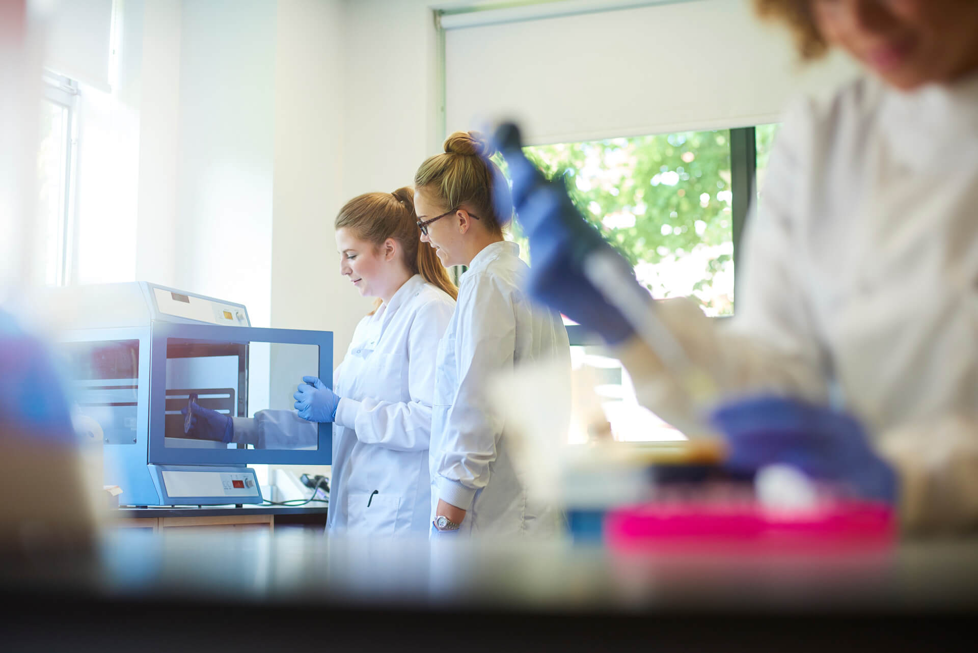 Research Team - TBrainBoost Project